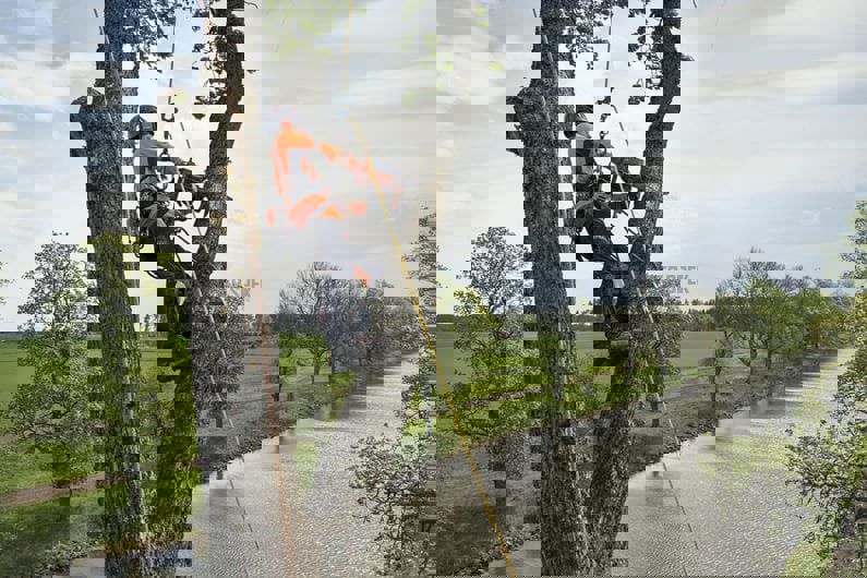 Husq. T540 XP® III 14"/35cm Kettingzaag | www.keesvanderspek.nl