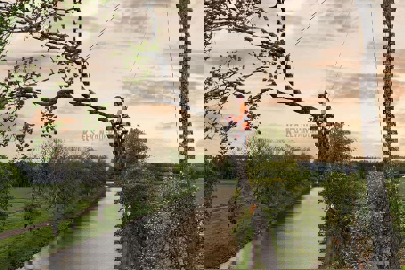 Husq. T540 XP® III 14"/35cm Kettingzaag | www.keesvanderspek.nl