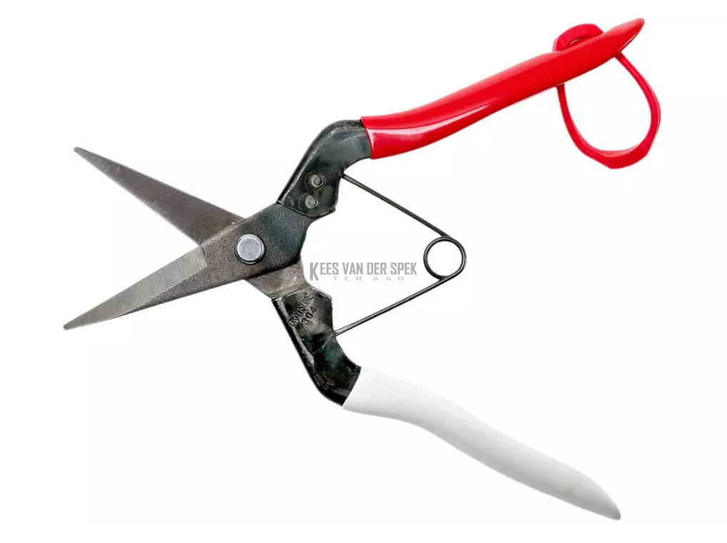 Okatsune 304 bloemschaar (blad 45mm) | www.keesvanderspek.nl